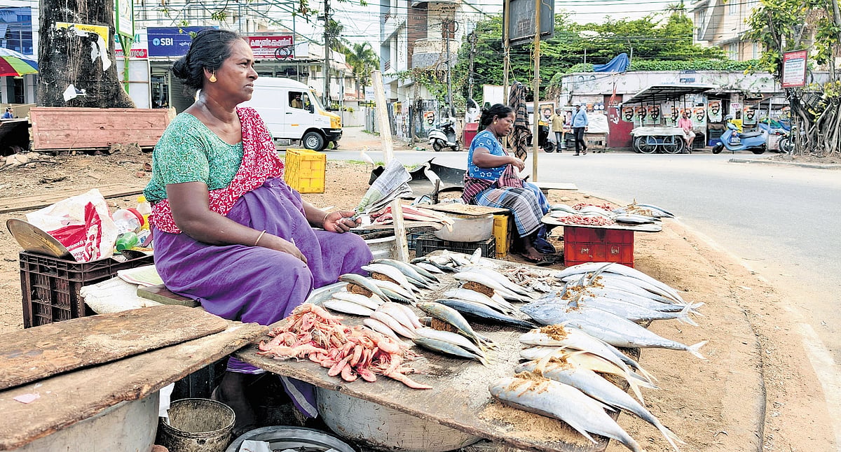 Kerala consumers feel the pinch as fish prices climb sharply