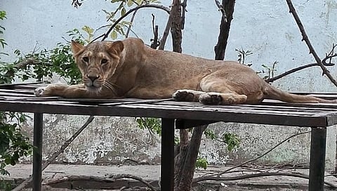 Tamil Nadu zoos