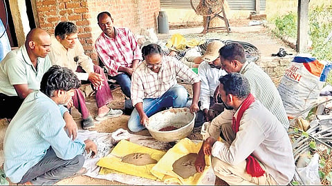 Shielding seeds against wrath of El Nino
