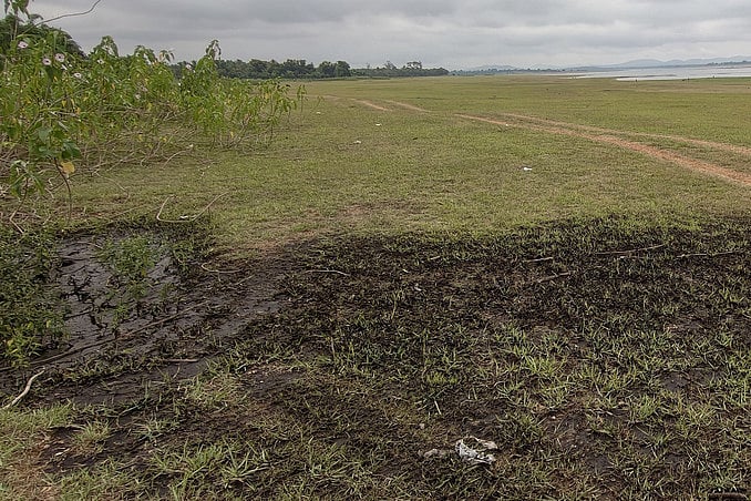 Business units turn Kabini backwaters into waste dumping site