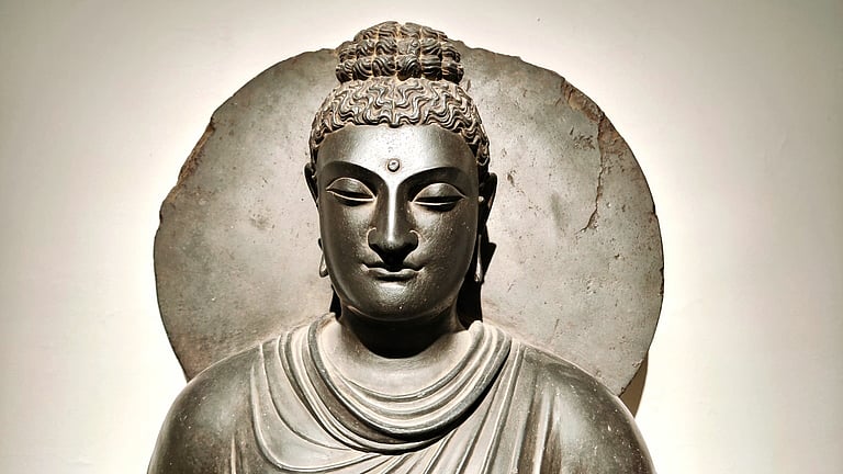 Faithline | Finding the oasis of calm