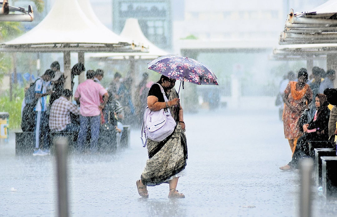 Farmers upbeat as TN to get normal rain this month