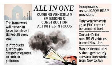 Delhi govt rolls out winter pollution master plan