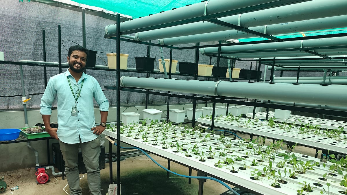 Plant it, forget it: Kerala engineer cracks smart farming code
