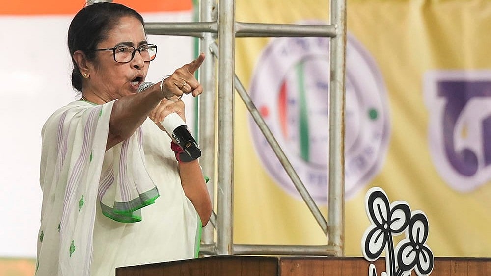 Two Factions, Two Directions: TMC Rebels Face Unprecedented Political ...