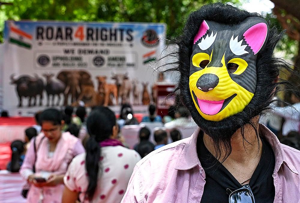 Day In Pics: June 13, 2026 | Outlook India