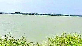 Dhamana Dam : धामणा धरणात मुबलक पाणीसाठा