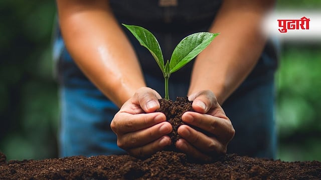 Tree Plantation 2026 | पावसाळ्यात महापालिका लावणार एक लाख झाडे