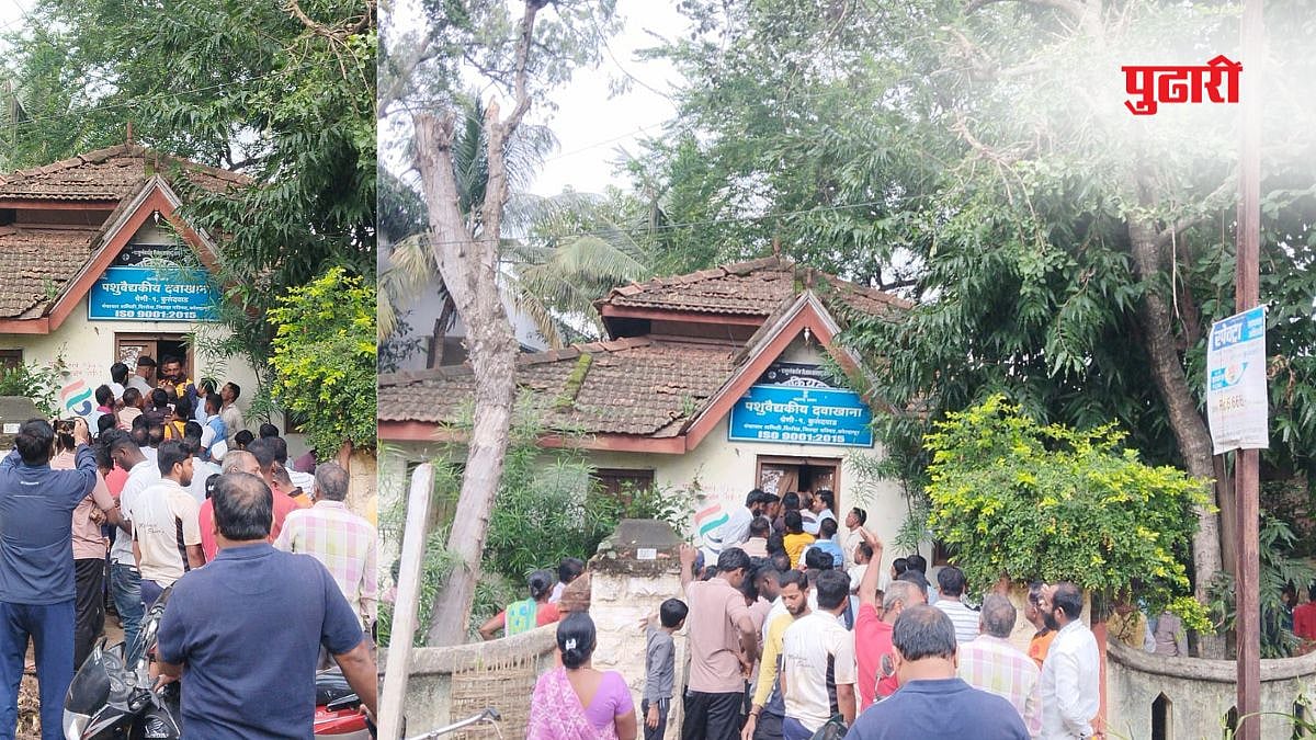 Kolhapur flood news: महापुराने चारा नेला, प्रशासनाने आधार दिला ...