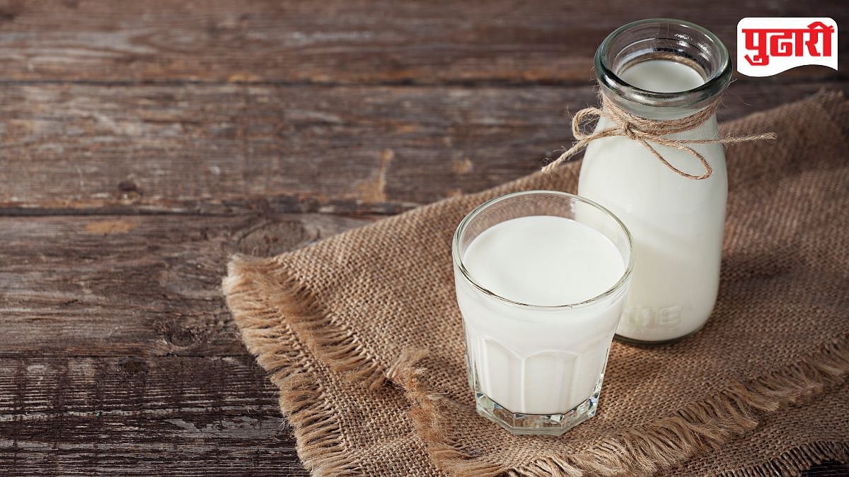 Buffalo milk price hike: गोकुळच्या म्हैस दूध खरेदी दरात एक, विक्री दरात ...