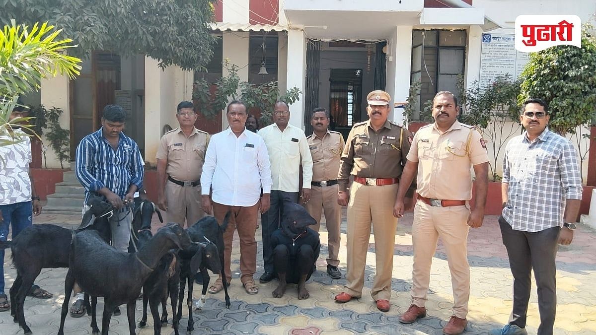 Pandharpur Crime | पंढरपूर तालुक्यातील शेळ्या चोरीप्रकरणी दोन महिलांसह ...