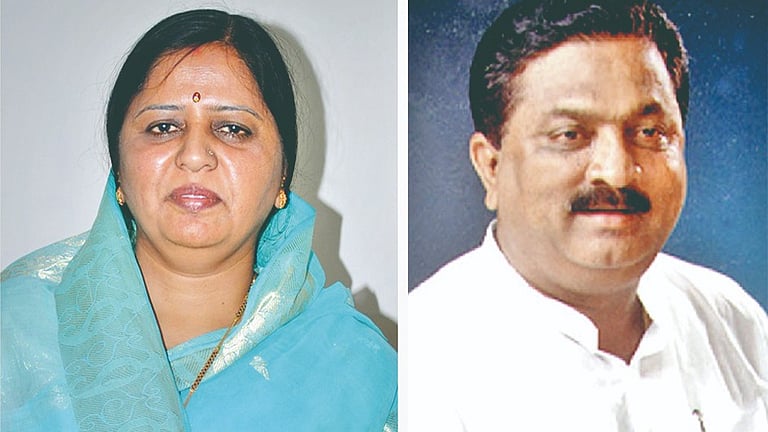 Satara Politics: माजी जि. प. अध्यक्षा अरुणादेवी पिसाळ भाजपमध्ये ...