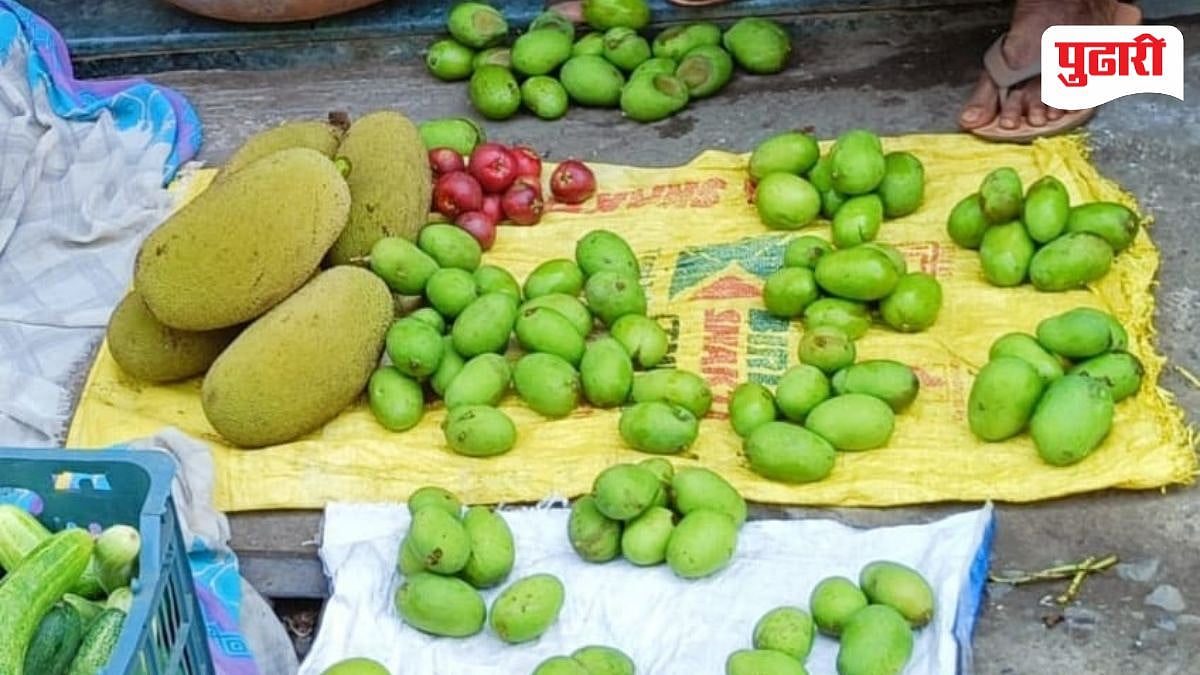 Raw Mango Price: हिरव्यागार गावरान कच्च्या कैऱ्यांनी बाजारफुलला ...