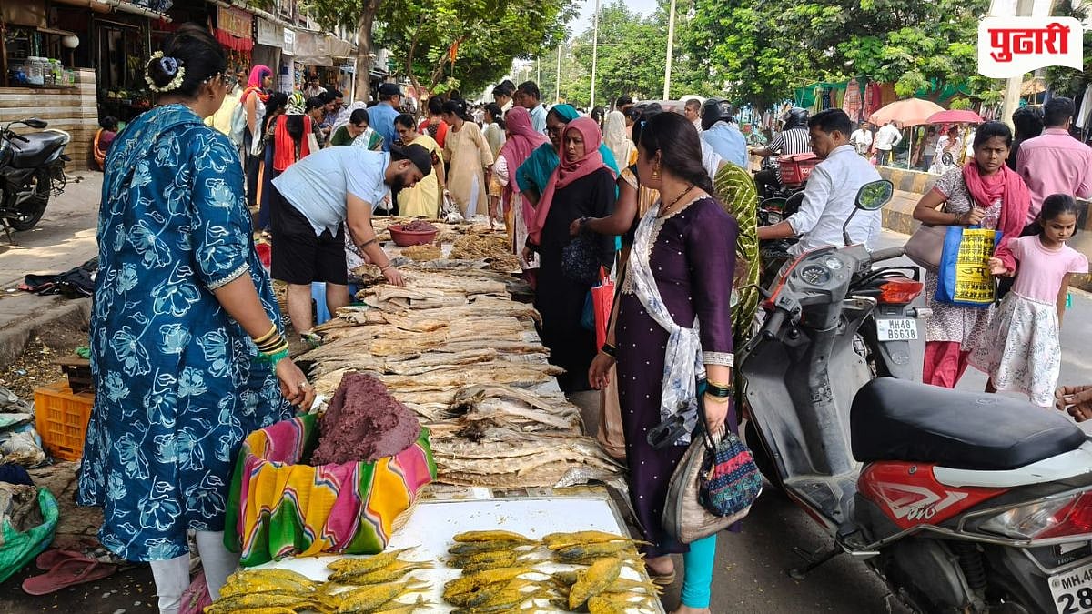 Dry Fish Rate: सुक्या मासळीचे दर गगनाला; सोडे अडीच हजार तर, दाढा- खारा ...