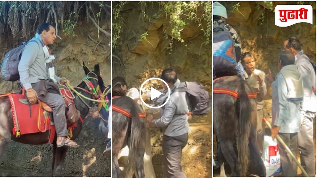 Kedarnath Viral Video: केदारनाथमध्ये धक्कादायक प्रकार! महाराष्ट्रातील ...