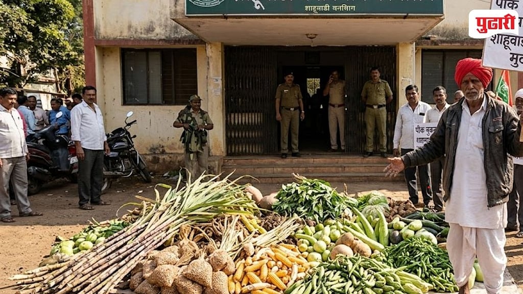 Shahuwadi Forest Department विविध घटनांमुळे शाहूवाडी वनविभाग चर्चेत ...