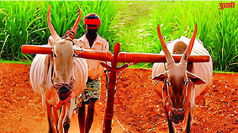 Jalna News : खरीप हंगाम पूर्वमशागत अंतिम टप्प्यात
