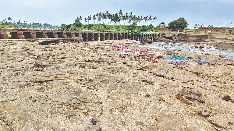 Sangli Water Crisis : कोयना धरण ते हरिपूर हद्दीपर्यंत कृष्णा नदीतून ...