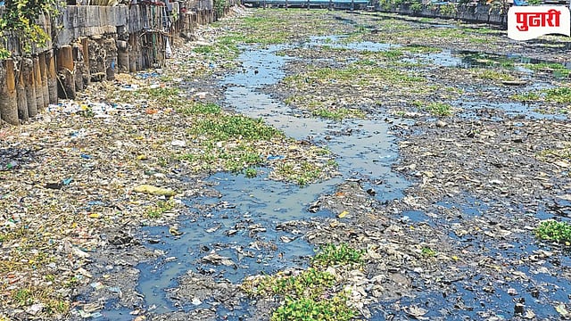 Mumbai Waterlogging: पाणी तुंबणारच.. अधिकाऱ्यांचा बळी जाणारच