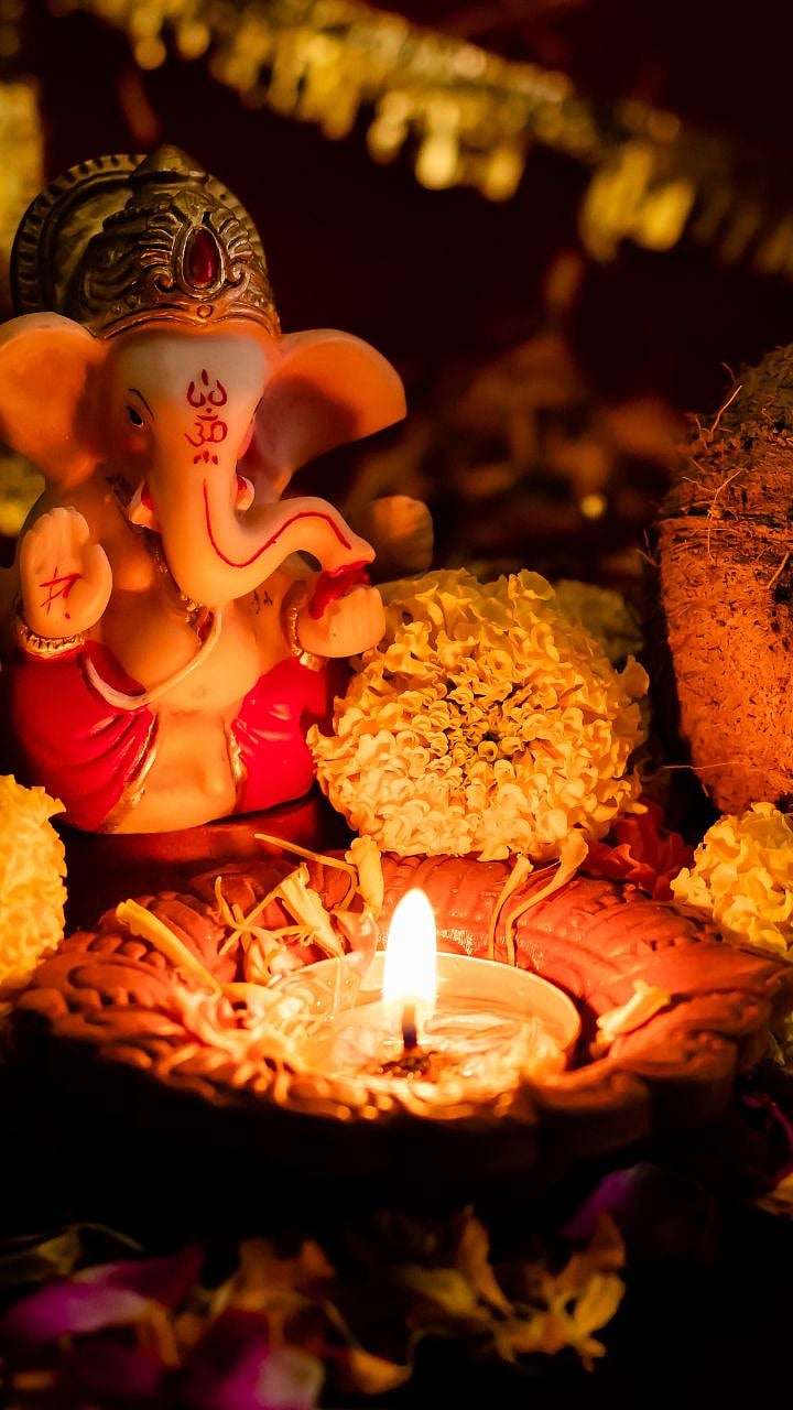 Diya Puja Tips: घरातील देवाऱ्यात कोणत्या 'तेलाचा दिवा' लावणे सहसा टाळावे?