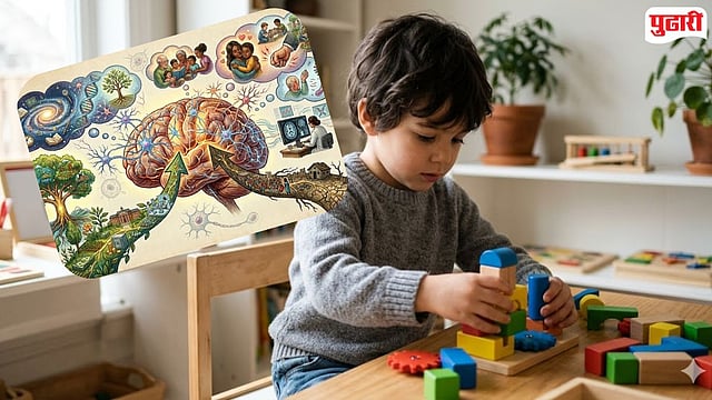 Child Brain : पालकत्व किंवा IQ नव्‍हे, मुलांच्या मेंदूच्‍या विकासावर ...