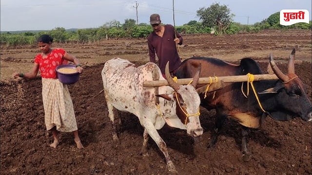 Palghar Breaking Local News: Latest Updates and Trends in Marathi on ...