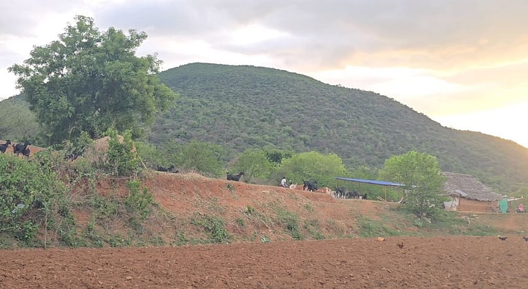 A hill village in Tirupathur has been without electricity for 75 years