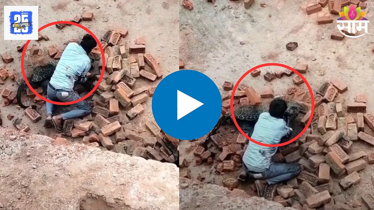 Viral : वीट भट्टीवरील कामगाराने बिबट्याला शिकवला धडा, अंगावर शहारे ...