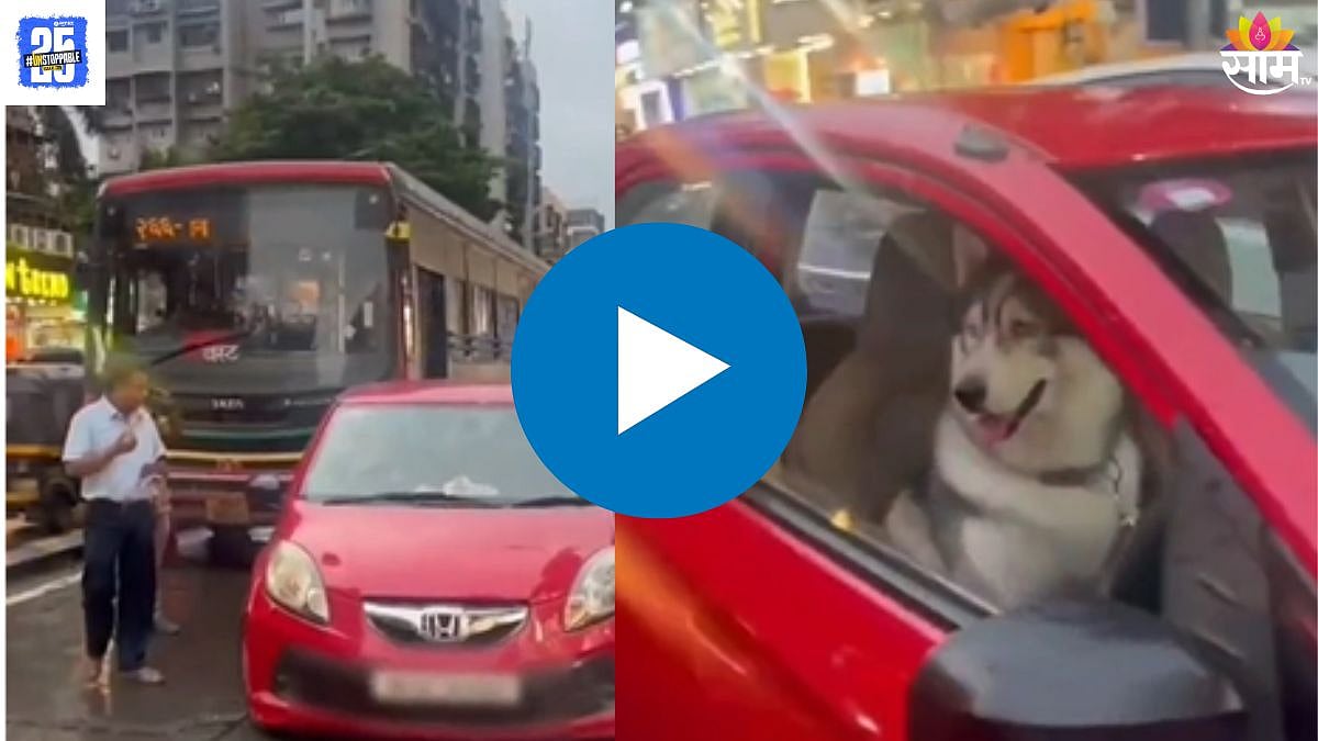 Viral Video : मुंबईत वाहतूक कोंडीचा ‘डॉग शो’! चालकाने गाडी रस्त्यावरच ...