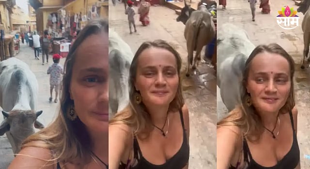Viral Video : बैलासोबत व्हिडिओ बनवणं पडलं महागात; विदेशी महिलेसोबत ...