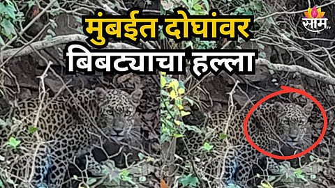Crime News : लग्नानंतर बॉयफ्रेंडकडून छळ, तरुणीने नवऱ्याच्या मदतीने ...