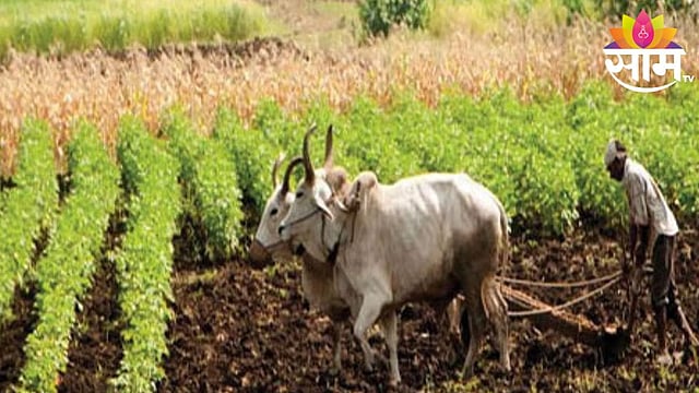 tamil nadu Farmers news : 14.22 लाख शेतकऱ्यांचं कर्ज माफ; मुख्यमंत्री ...