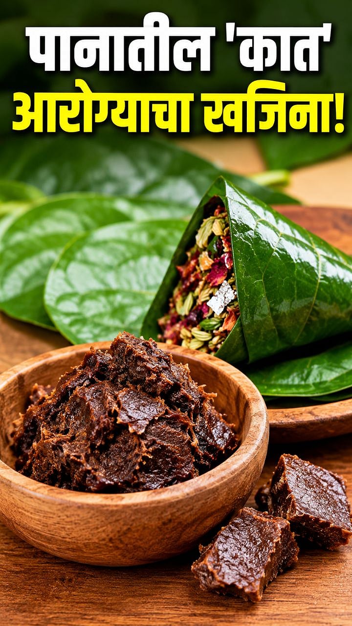 Katha Benefits : चवीपेक्षा आरोग्यासाठी गुणकारी पानातील 'कात', ५ फायदे ...