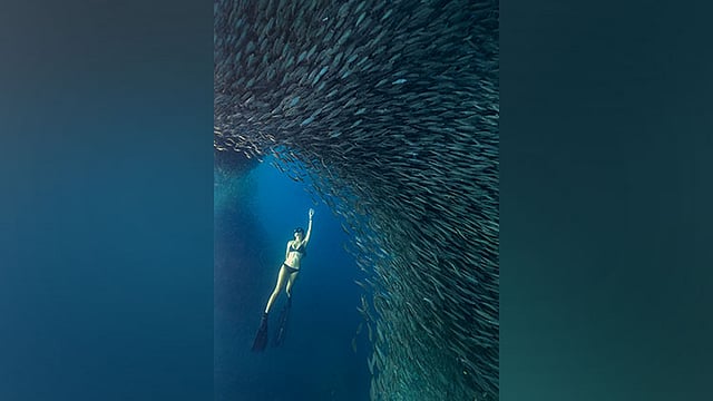 Through the lens of Erwin Lim