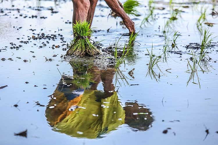 Gov’t agencies boost affordable credit for farmers