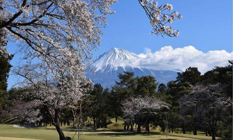 No ‘visa fee’ applies for Japan tourist visa – embassy