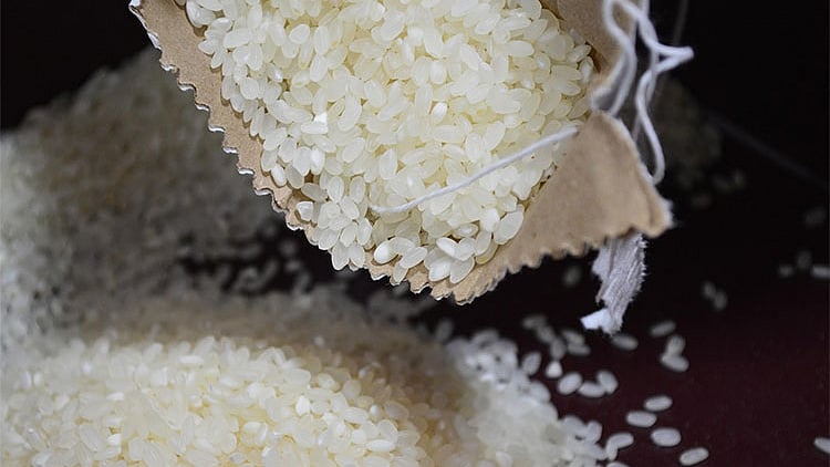 Lapu-Lapu resumes P20 rice sale