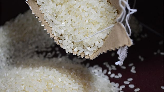 Lapu-Lapu resumes P20 rice sale