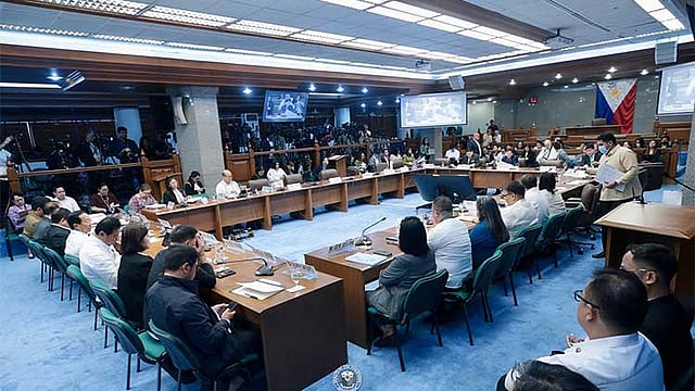 Senate panel launches probe into flood control projects