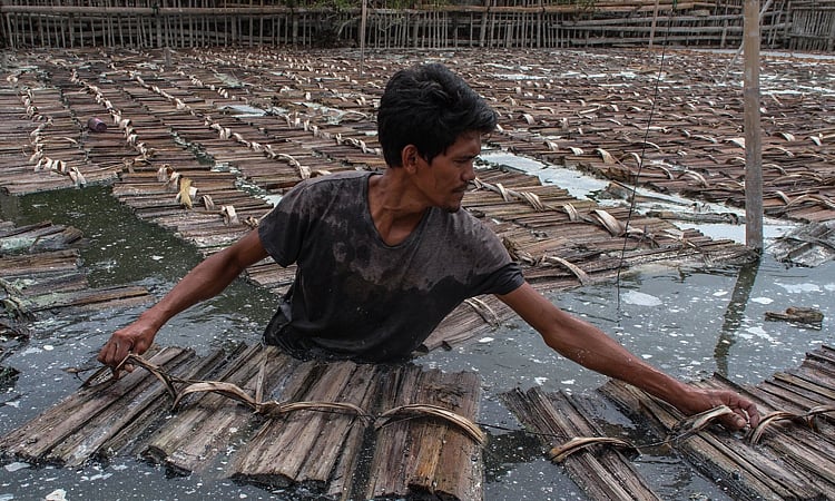 Mandaue Broom Makers Fear Bridge Displacement
