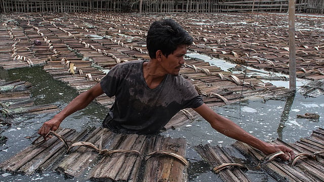 Mandaue Broom Makers Fear Bridge Displacement