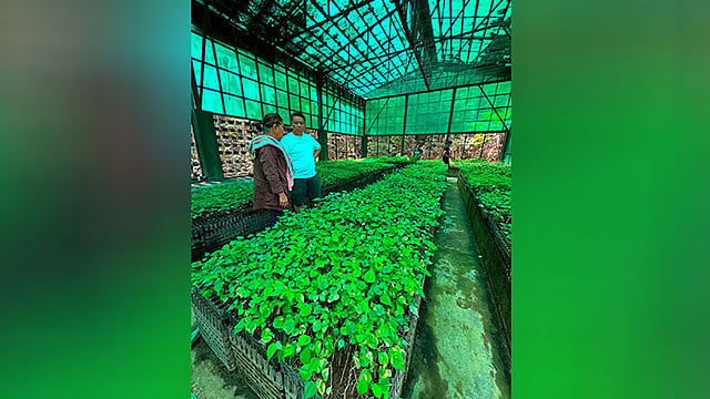 Iloilo News and Information
