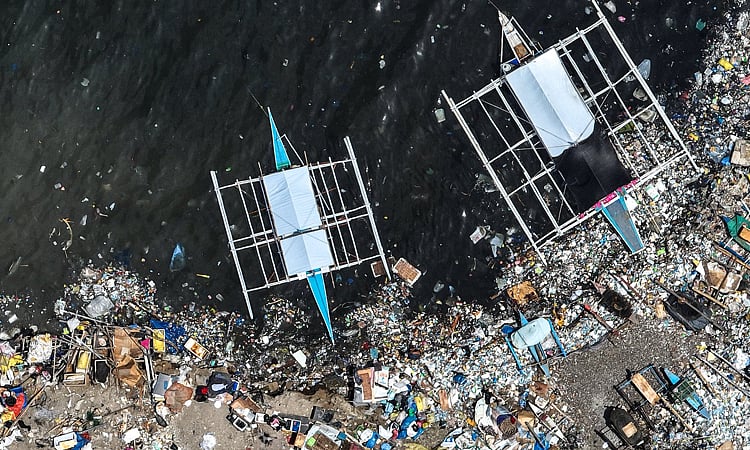 Cebu City Issues Citations Over Viral Waste Dumping Video