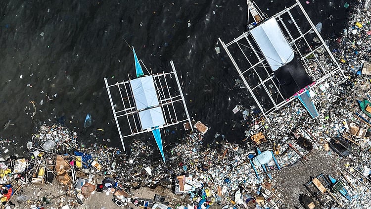 Cebu City Issues Citations Over Viral Waste Dumping Video