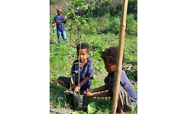 Volunteers plant trees during Pinatubo Day