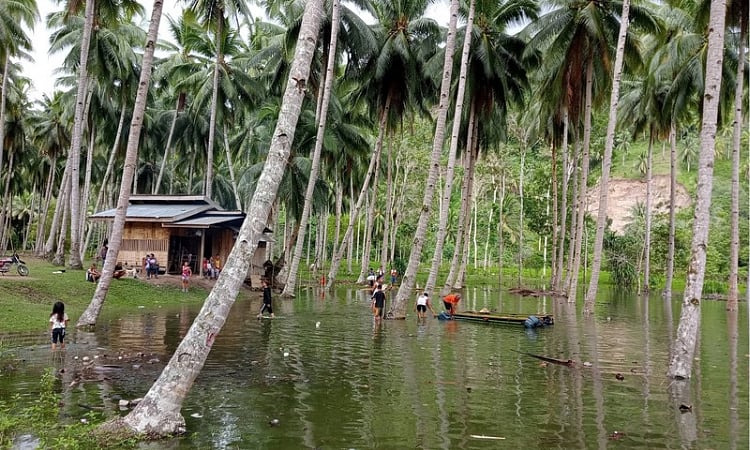 2K Evacuated in JAS Over Landslide Dam Collapse Threat