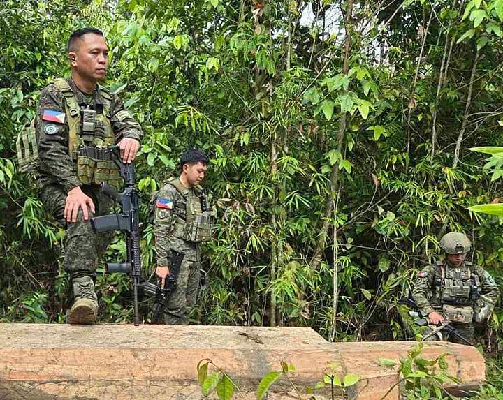 Illegally cut logs of Lawaan seized in Basilan