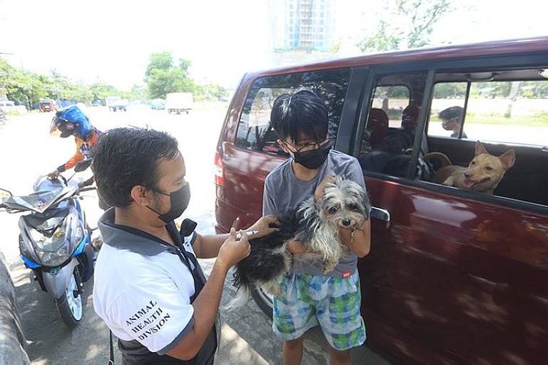 Cebu City Hits Severe Anti-Rabies Vaccine Shortage