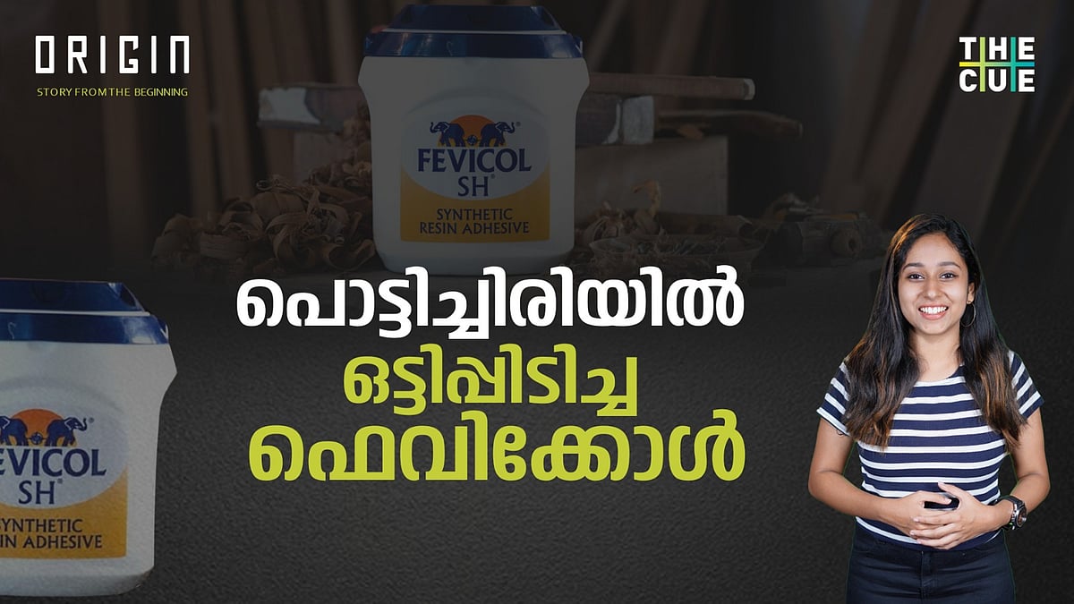 പരസ്യങ്ങളിലൂടെ ഹിറ്റായ ഫെവിക്കോൾ | The Success Story Of Fevicol | The Cue