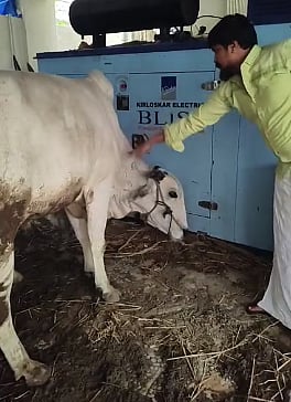 Cow vigilante enters Muslim homes in Bengaluru on Eid, activists seek ...
